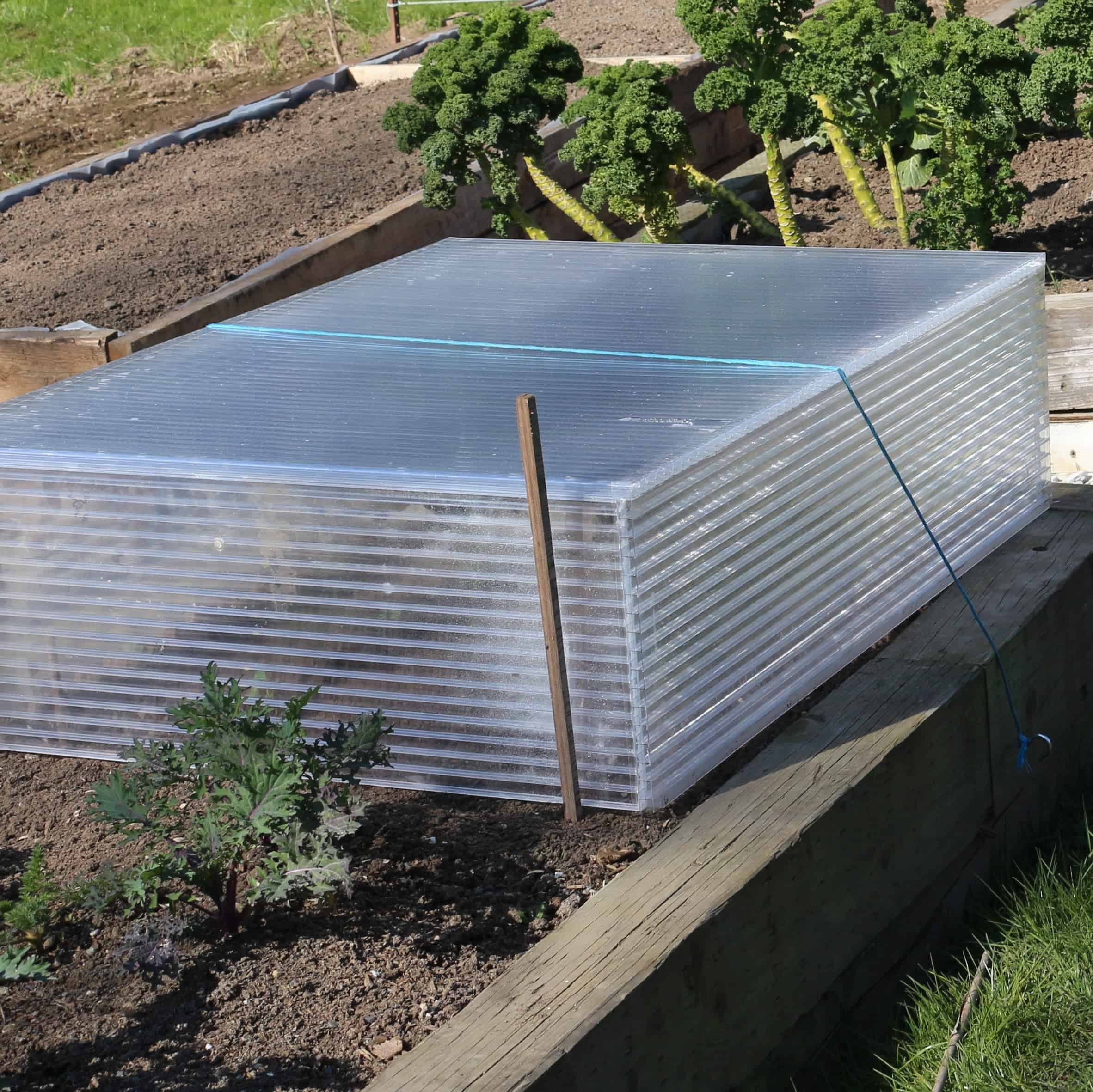 Making Cold Frames for Seedlings | Homemade Food Junkie