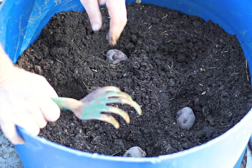 Easy DIY Potato Towers! | Homemade Food Junkie